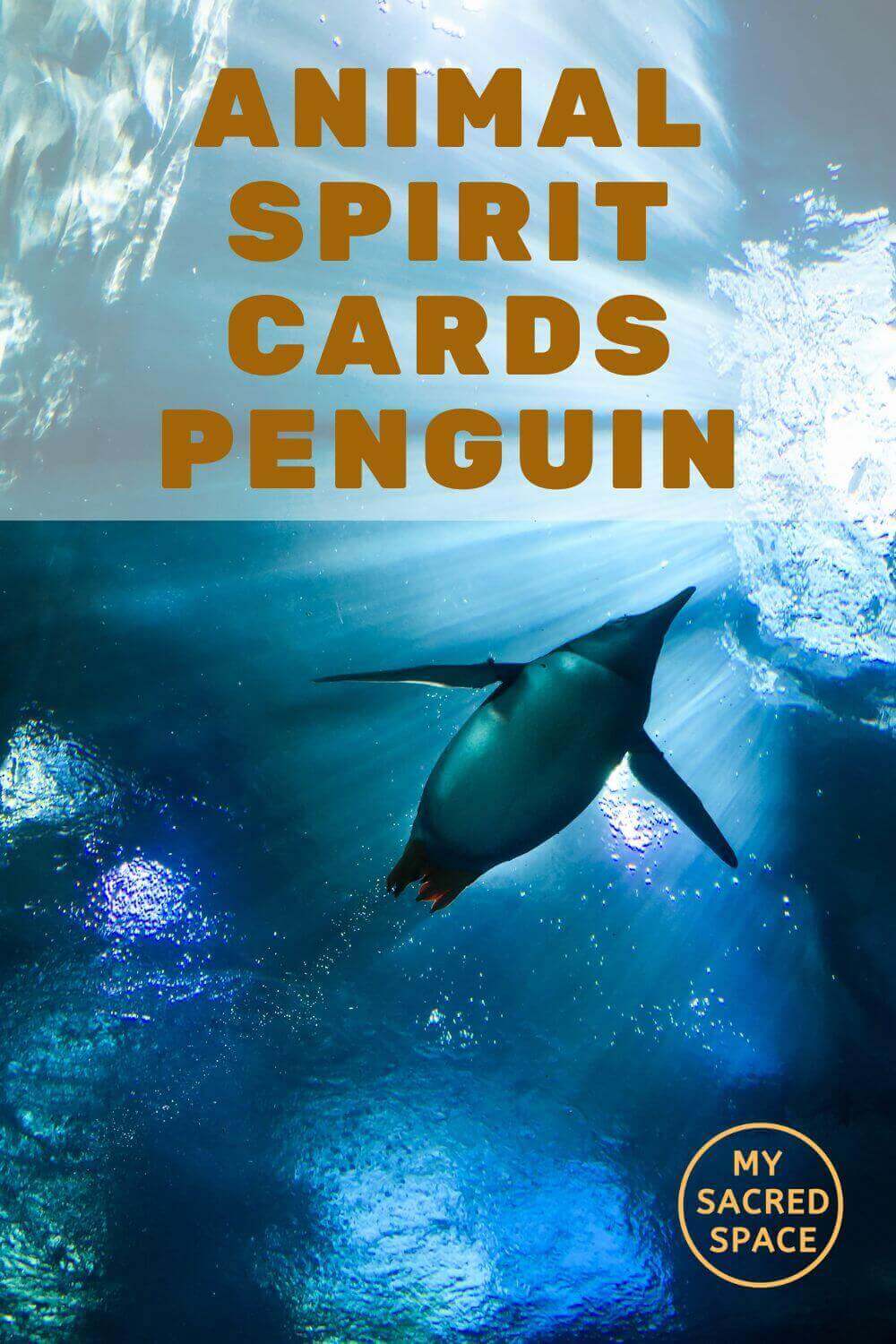 What Does a Penguin Spirit Animal Mean and Symbolize?