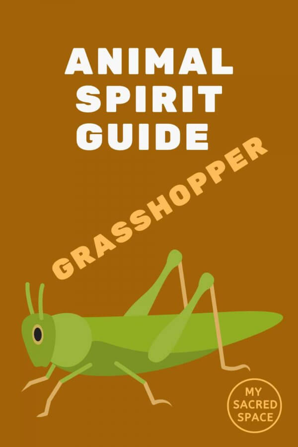 What Does a Grasshopper Spirit Animal Mean and Symbolize? - My Sacred ...