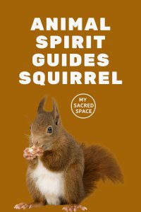 What Does a Squirrel Spirit Animal Mean and Symbolize? - My Sacred ...