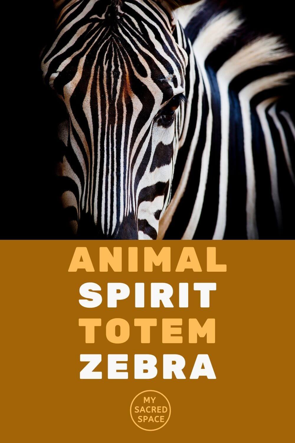 What Does a Zebra Spirit Animal Mean and Symbolize?