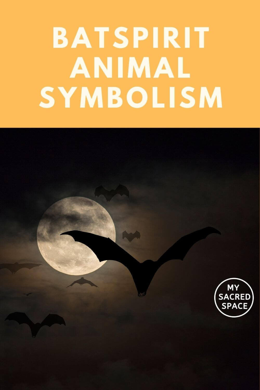 What Does Seeing A Bat Symbolize at Michael Stover blog