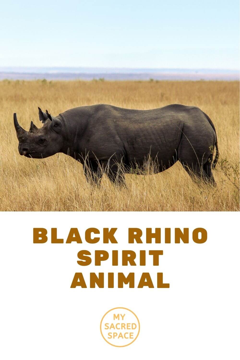 What Does a Rhino Spirit Animal Mean and Symbolize? - My Sacred Space ...