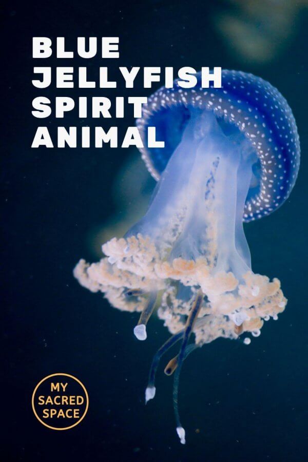 What Does a Jellyfish Spirit Animal Mean and Symbolize?