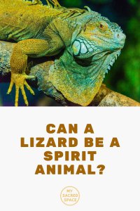 What Does a Lizard Spirit Animal Mean and Symbolize?