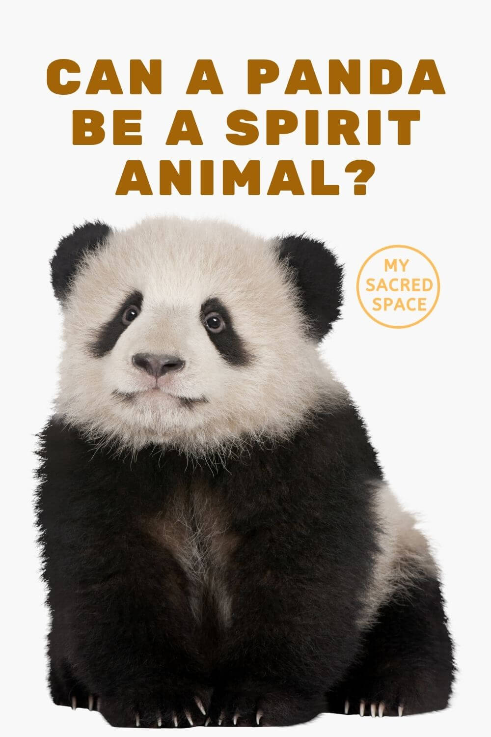 What Does a Panda Spirit Animal Mean and Symbolize? - My Sacred Space ...