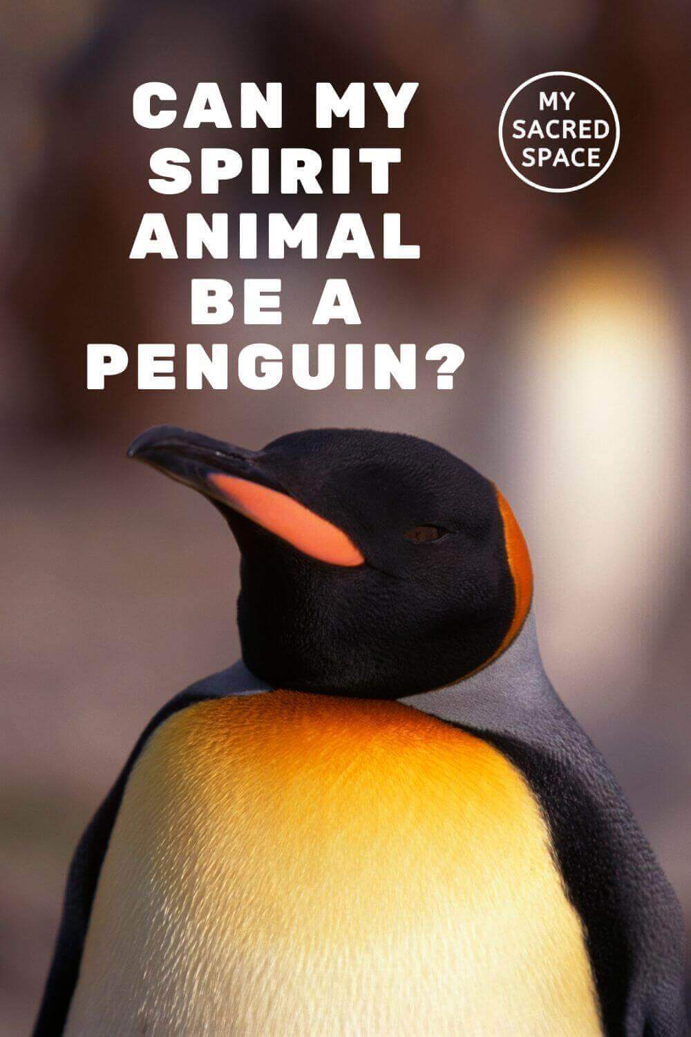 What Does a Penguin Spirit Animal Mean and Symbolize?