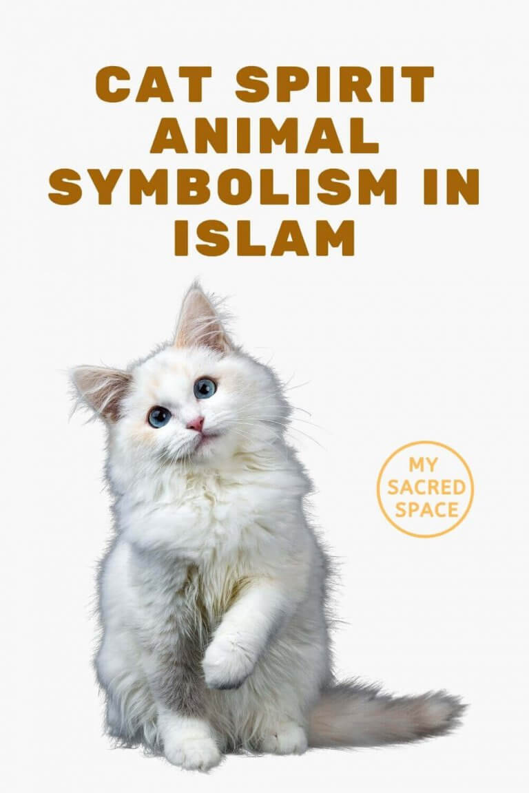 What Does a Cat Spirit Animal Mean and Symbolize? - My Sacred Space Design