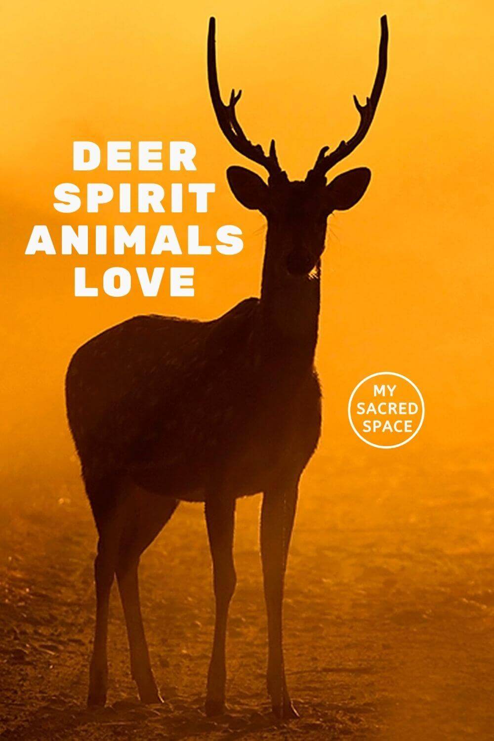 What Does a Deer Spirit Animal Mean and Symbolize? - My Sacred Space Design