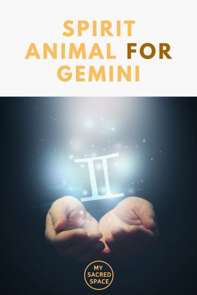 Spirit Animal For Gemini - My Sacred Space Design