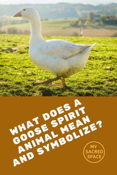 What Does a Goose Spirit Animal Mean and Symbolize? - My Sacred Space ...