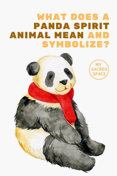 What Does a Panda Spirit Animal Mean and Symbolize? - My Sacred Space ...