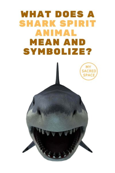 What Does a Shark Spirit Animal Mean and Symbolize? - My Sacred Space ...