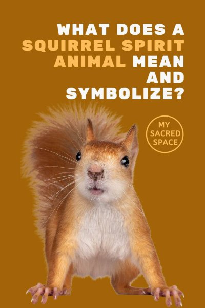 What Does a Squirrel Spirit Animal Mean and Symbolize? - My Sacred ...