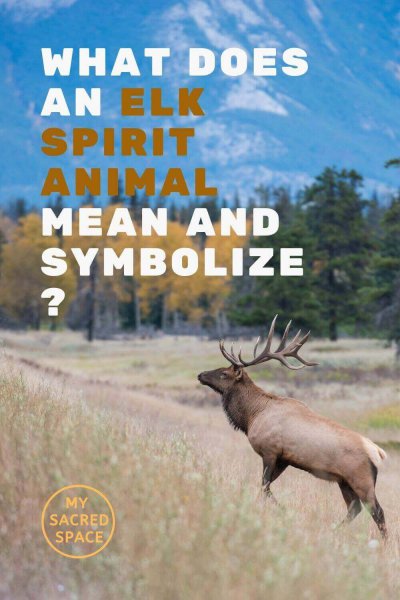 What Does an Elk Spirit Animal Mean and Symbolize? - My Sacred Space Design