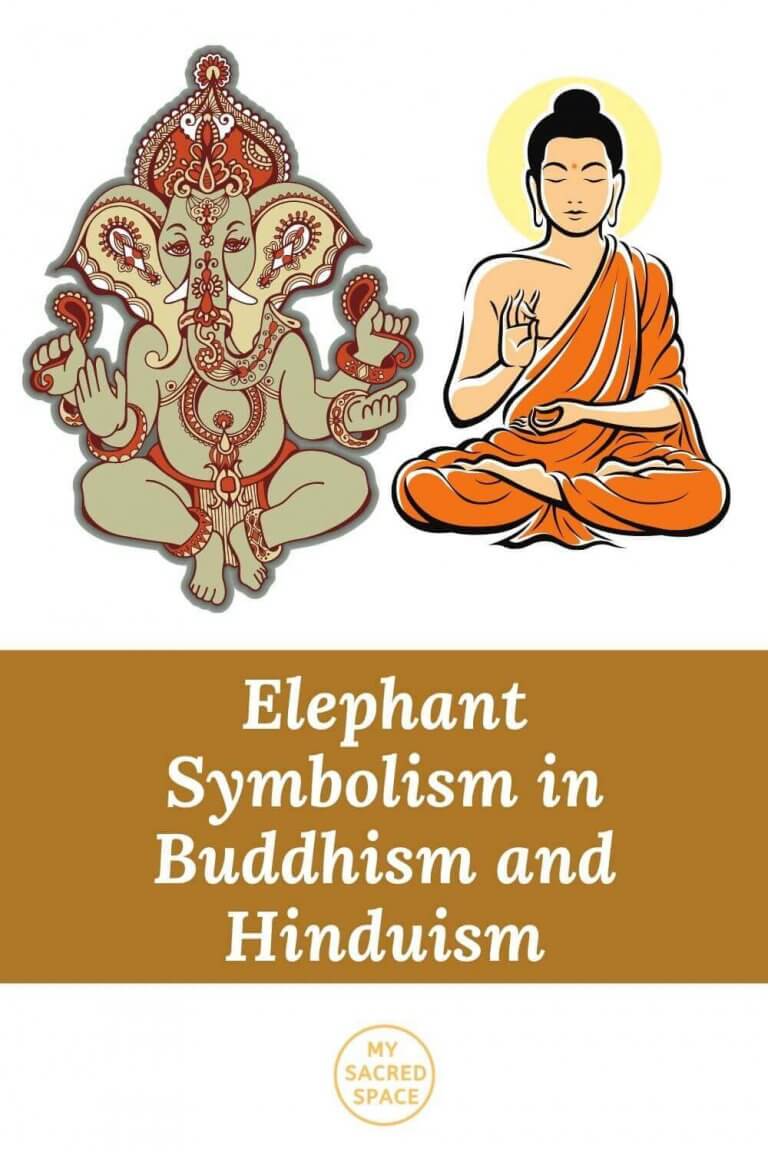 What Does an Elephant Spirit Animal Mean and Symbolise? - My Sacred ...