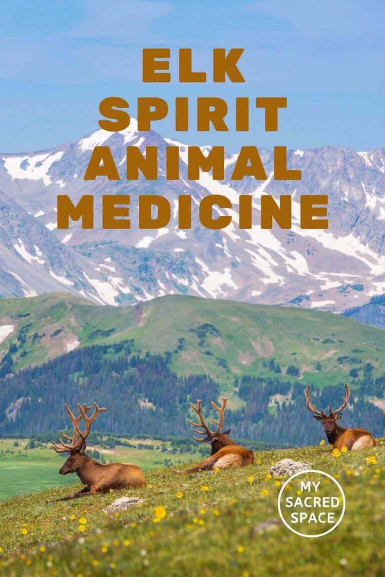 What Does an Elk Spirit Animal Mean and Symbolize? - My Sacred Space Design