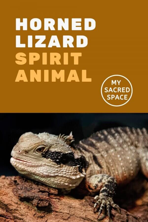 What Does a Lizard Spirit Animal Mean and Symbolize?