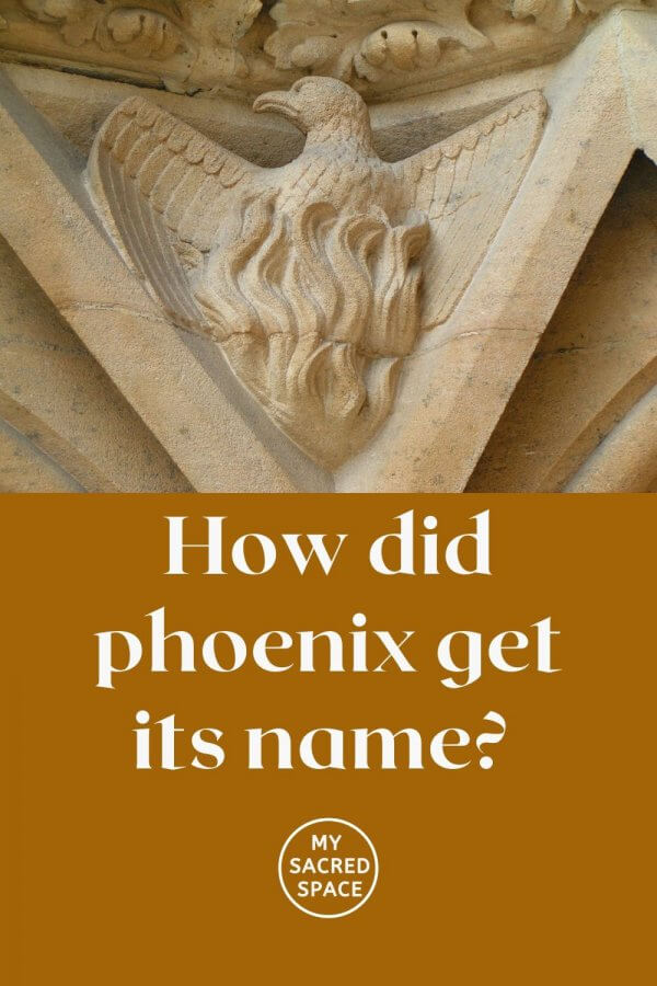 Can A Phoenix Be a Spirit Animal? And What Are the Origins of Phoenix ...