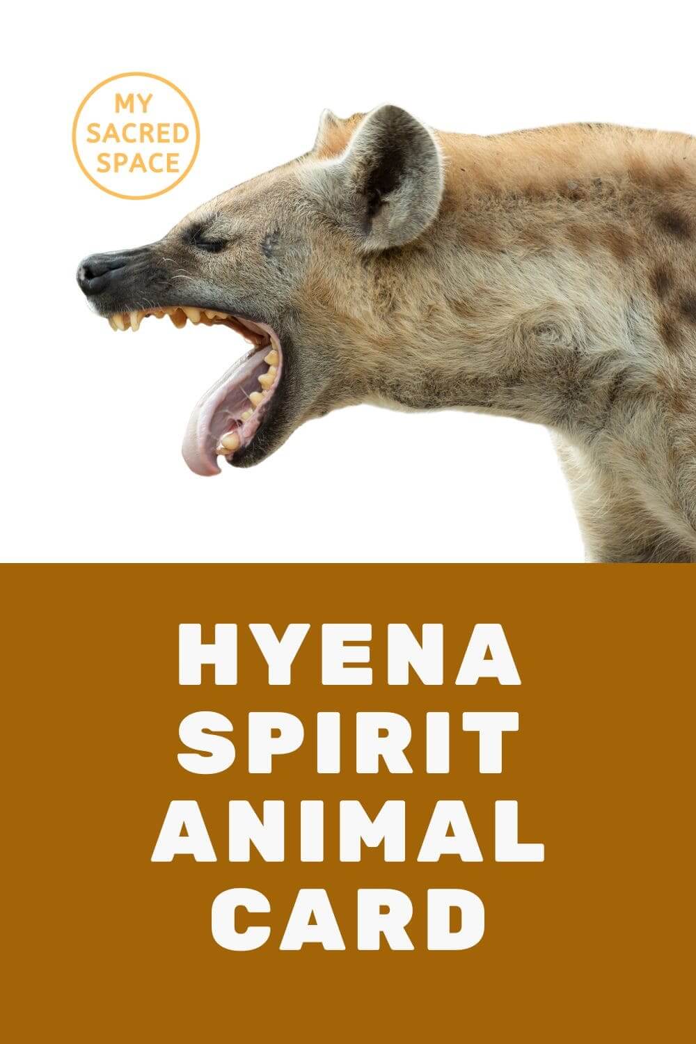 What Does a Spirit Animal Hyena Mean and Symbolize? - My Sacred Space ...