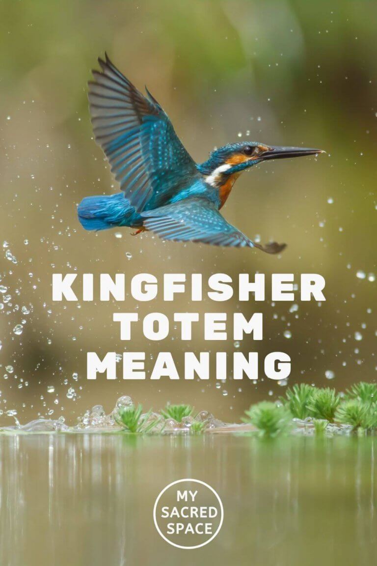 What Does a Kingfisher and Kookaburra Spirit Animals Mean and Symbolize ...