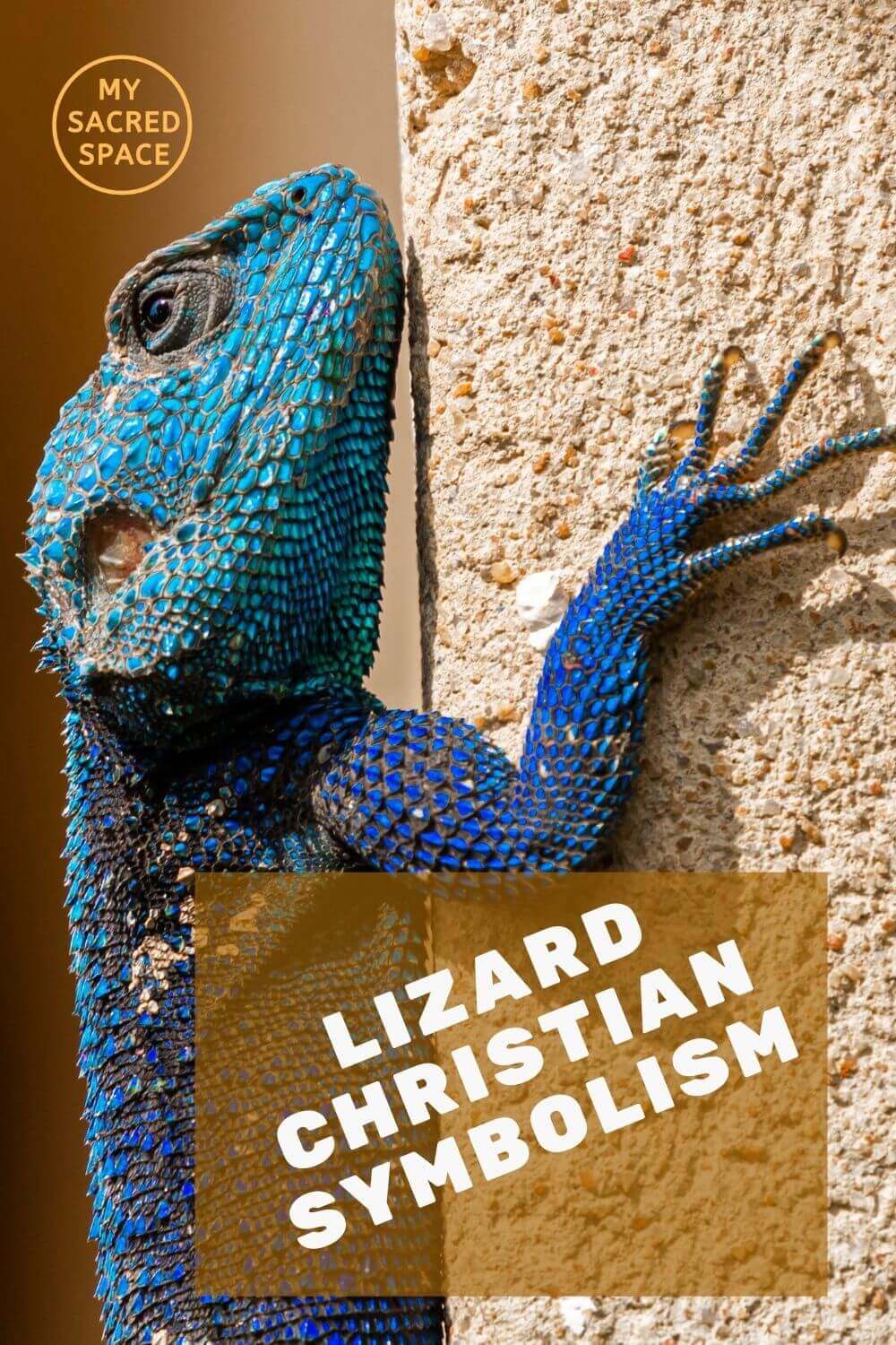 What Does a Lizard Spirit Animal Mean and Symbolize?
