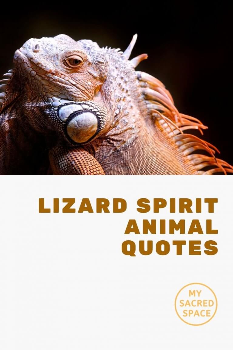 What Does a Lizard Spirit Animal Mean and Symbolize?