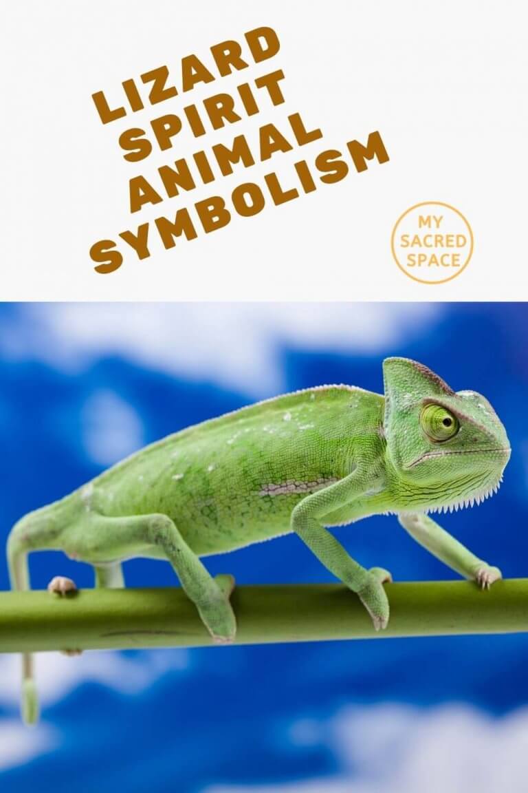 What Does a Lizard Spirit Animal Mean and Symbolize?