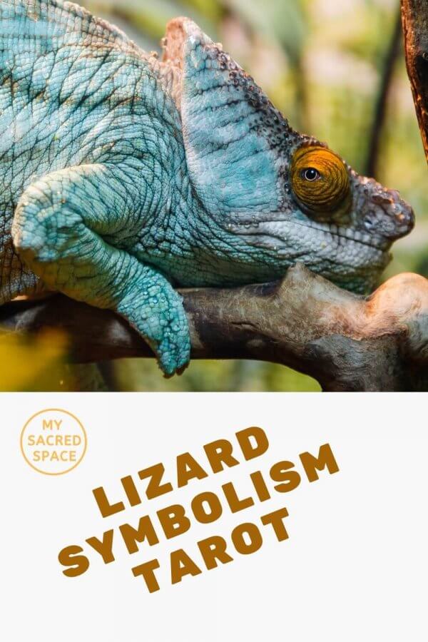 What Does a Lizard Spirit Animal Mean and Symbolize?