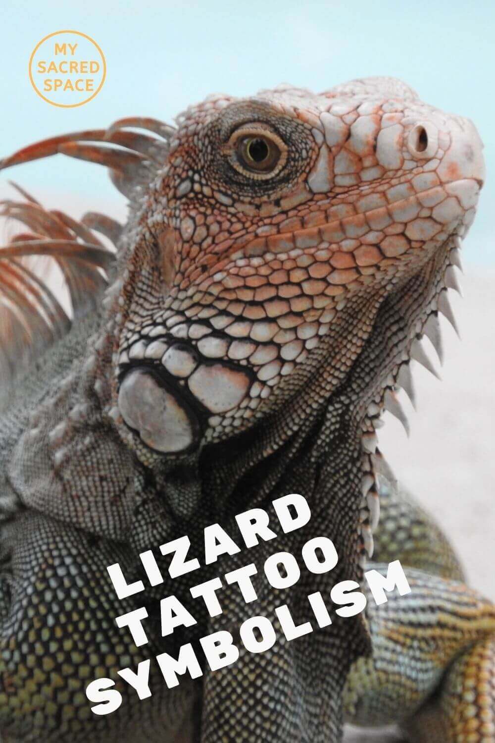 What Does a Lizard Spirit Animal Mean and Symbolize?