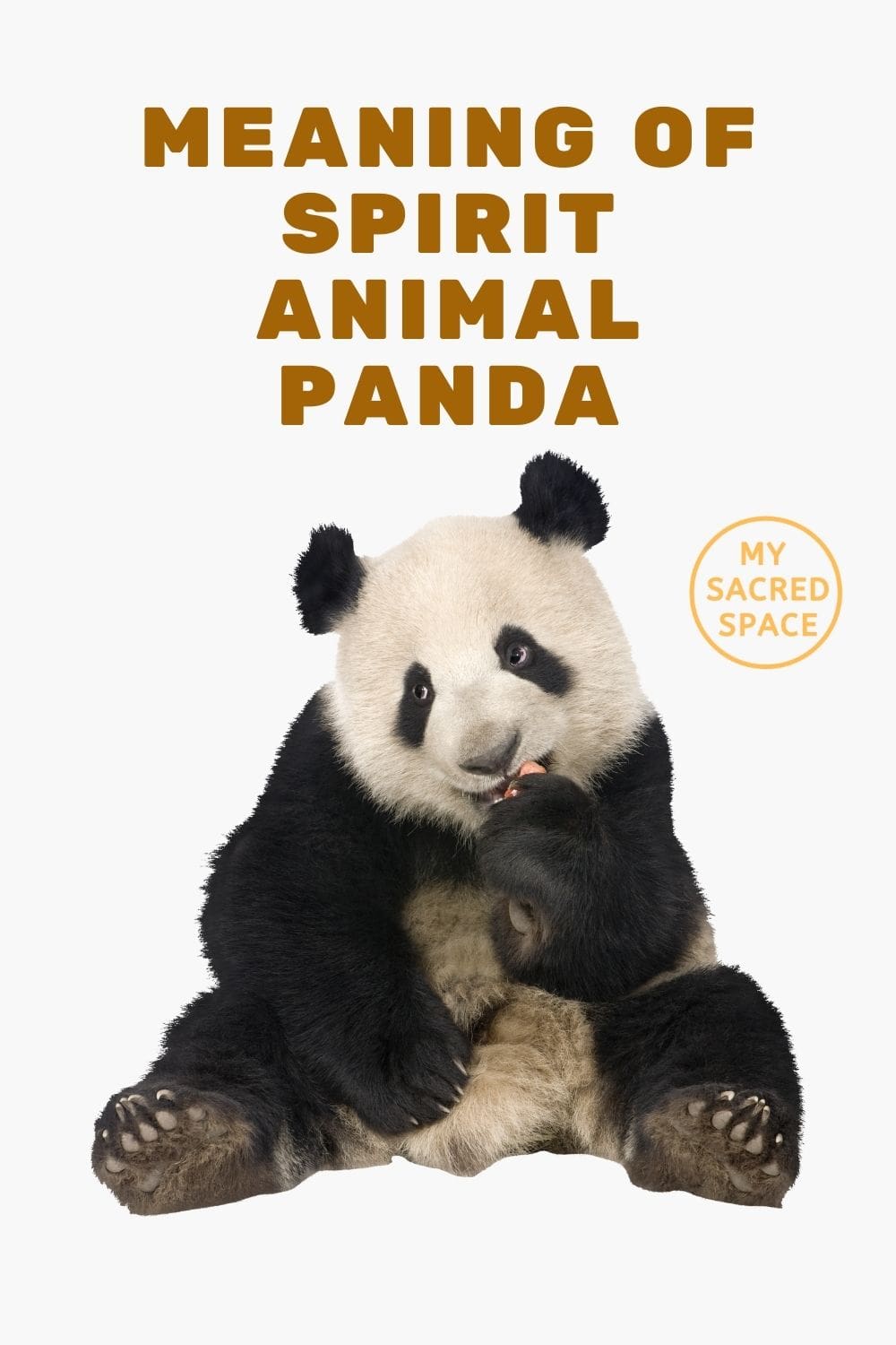 What Does a Panda Spirit Animal Mean and Symbolize? - My Sacred Space ...