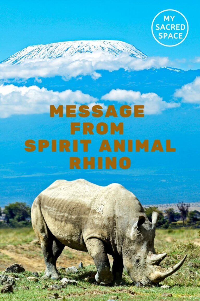 What Does a Rhino Spirit Animal Mean and Symbolize? - My Sacred Space ...