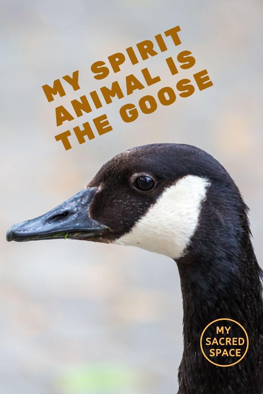 What Does a Goose Spirit Animal Mean and Symbolize?