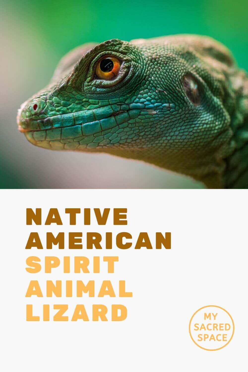 What Does a Lizard Spirit Animal Mean and Symbolize?