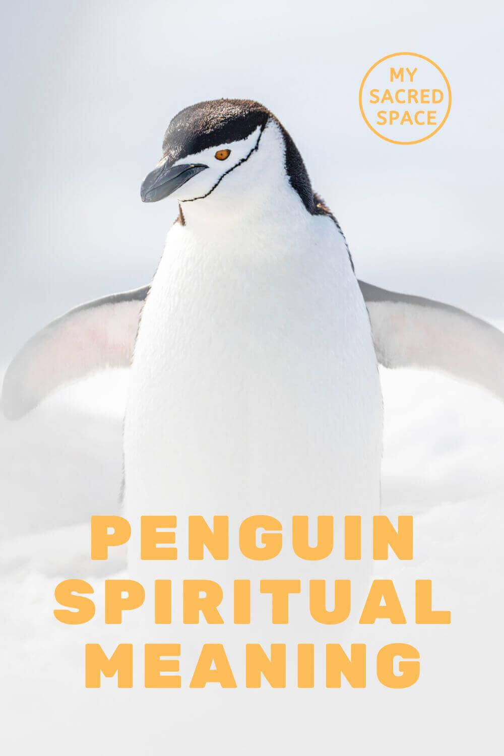 What Does a Penguin Spirit Animal Mean and Symbolize?