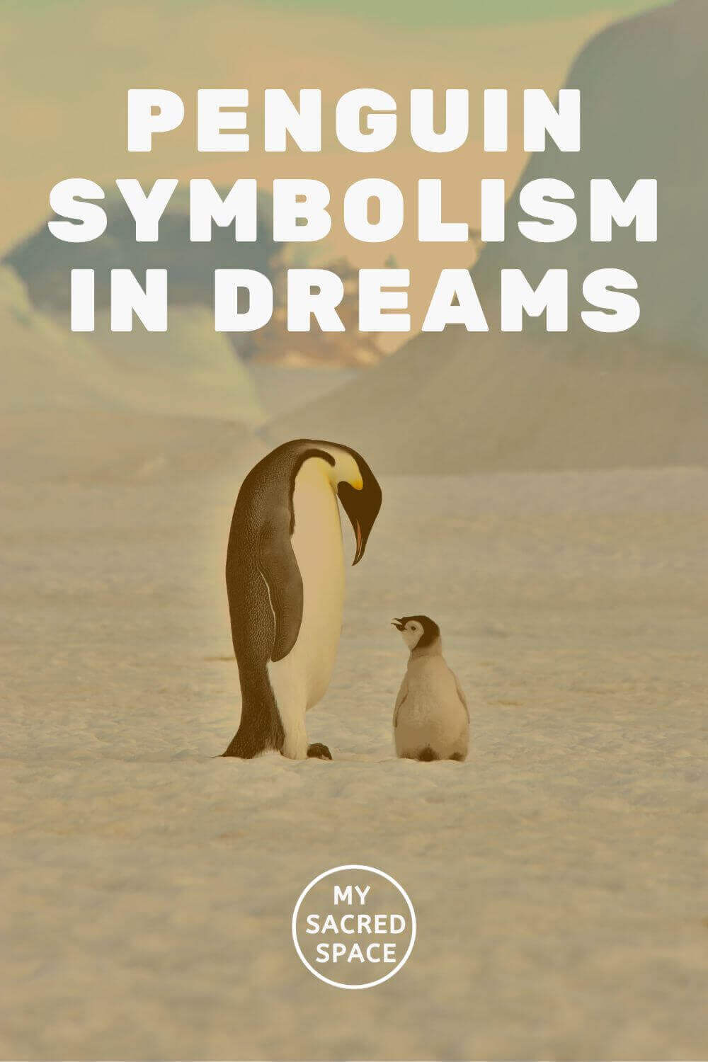What Does a Penguin Spirit Animal Mean and Symbolize?