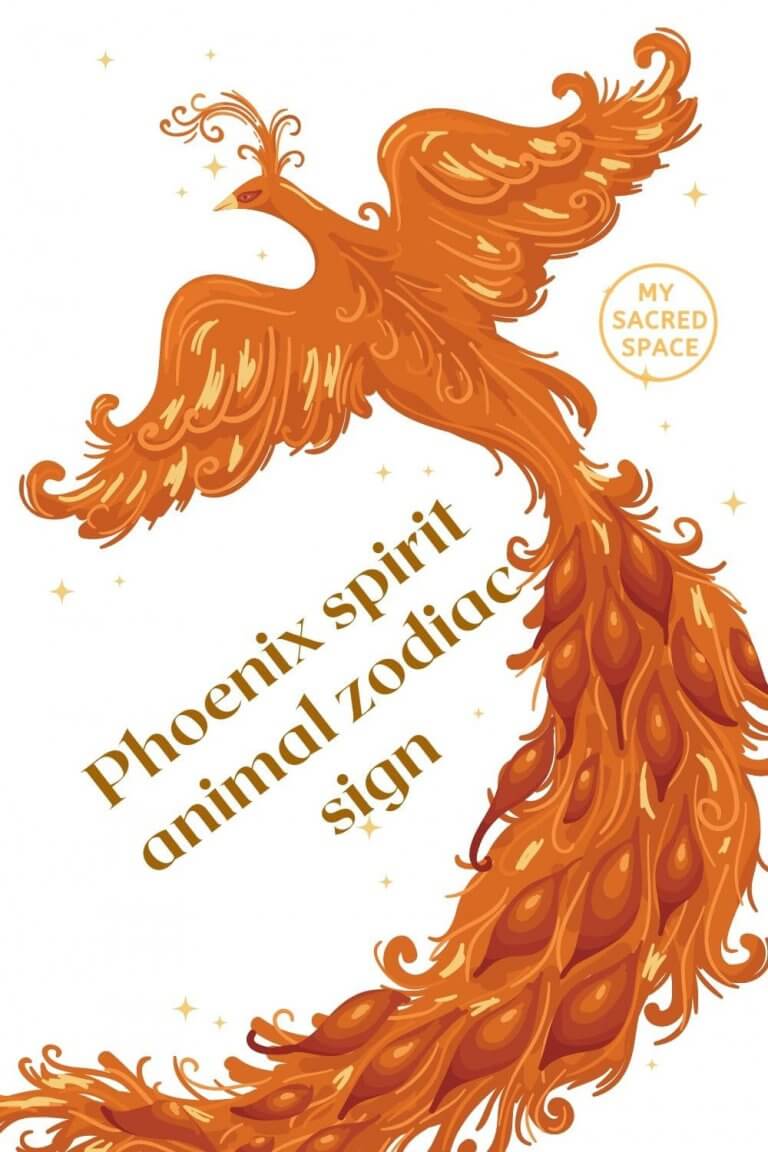Can A Phoenix Be a Spirit Animal? And What Are the Origins of Phoenix ...