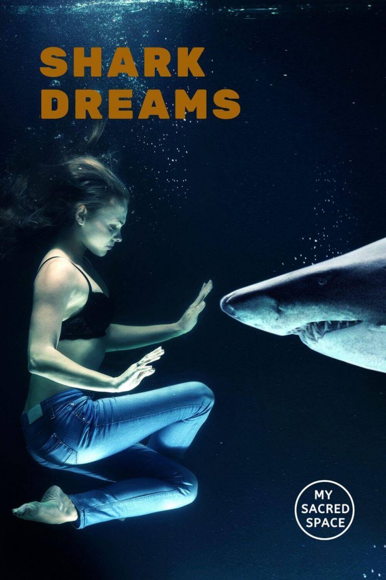 What Does a Shark Spirit Animal Mean and Symbolize? - My Sacred Space ...