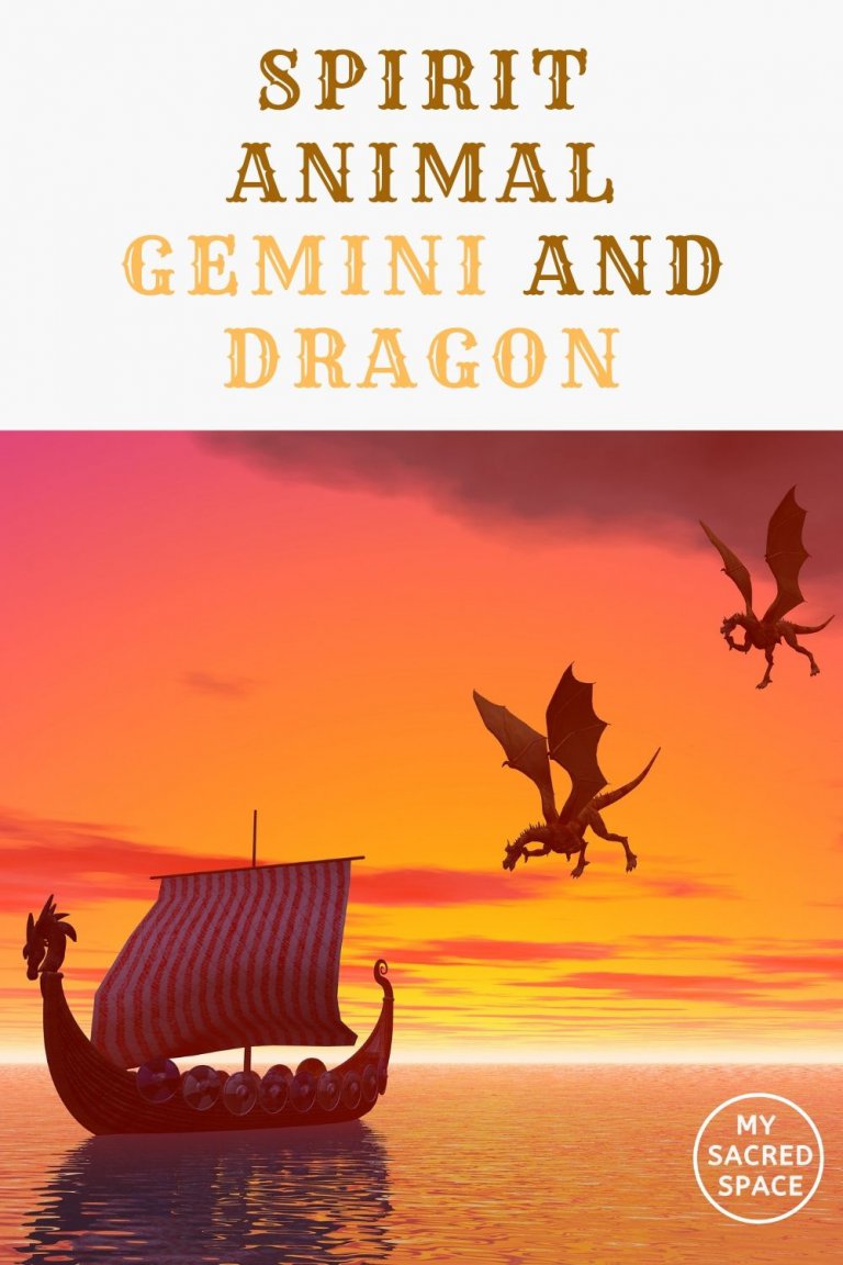 Spirit Animal For Gemini - My Sacred Space Design
