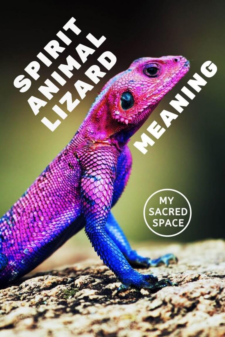 What Does a Lizard Spirit Animal Mean and Symbolize?