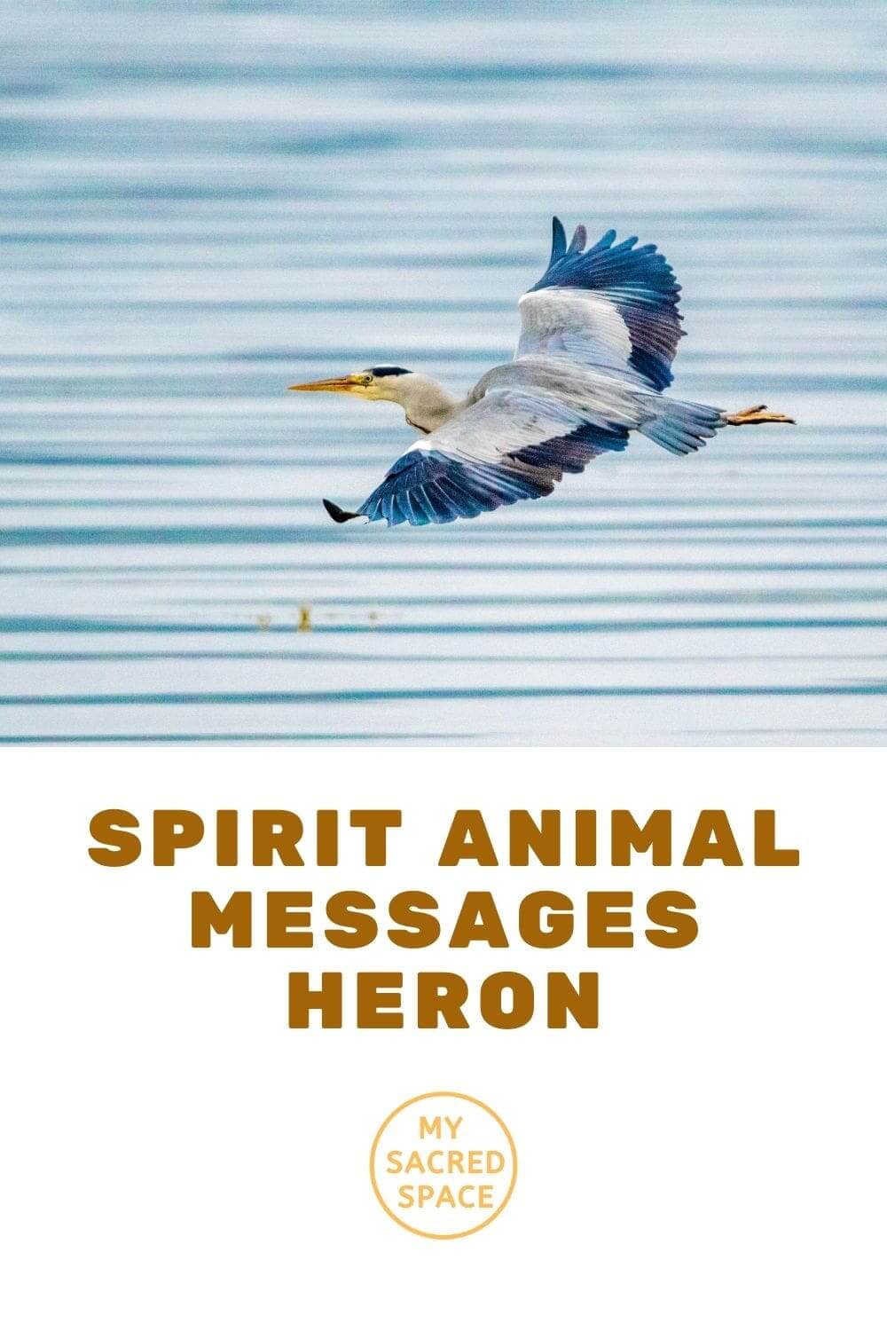 What Does a Heron Spirit Animal Mean and Symbolize? - My Sacred Space ...