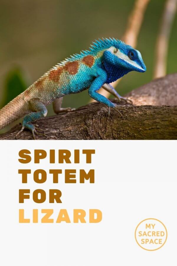 What Does a Lizard Spirit Animal Mean and Symbolize?
