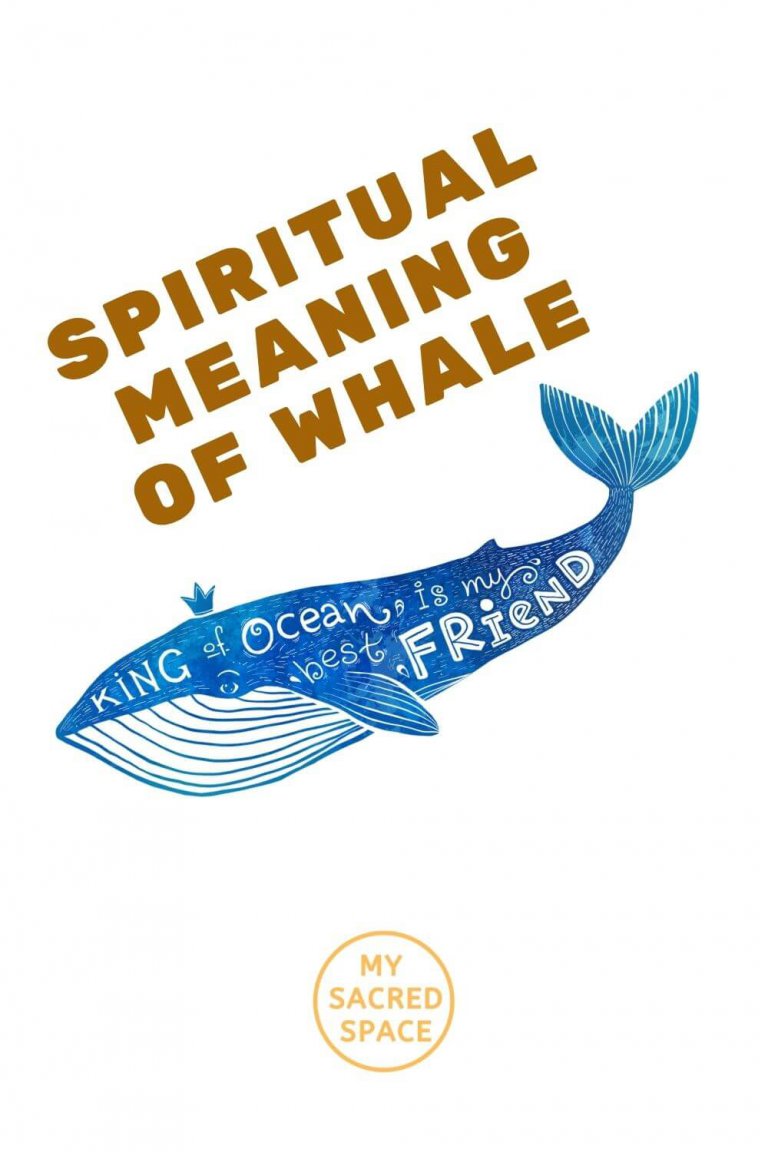 What Does a Whale Spirit Animal Mean and Symbolize? - My Sacred Space ...