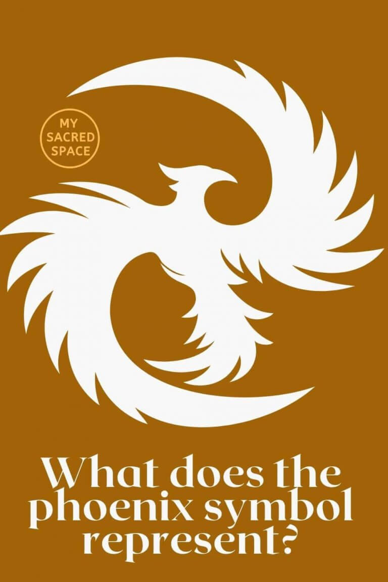 Can A Phoenix Be a Spirit Animal? And What Are the Origins of Phoenix ...
