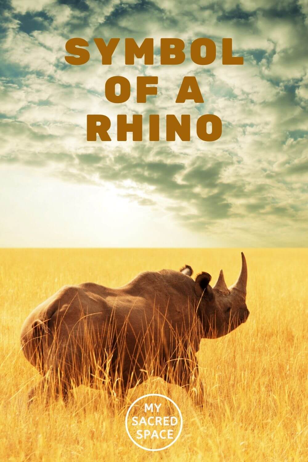 What Does a Rhino Spirit Animal Mean and Symbolize? - My Sacred Space ...