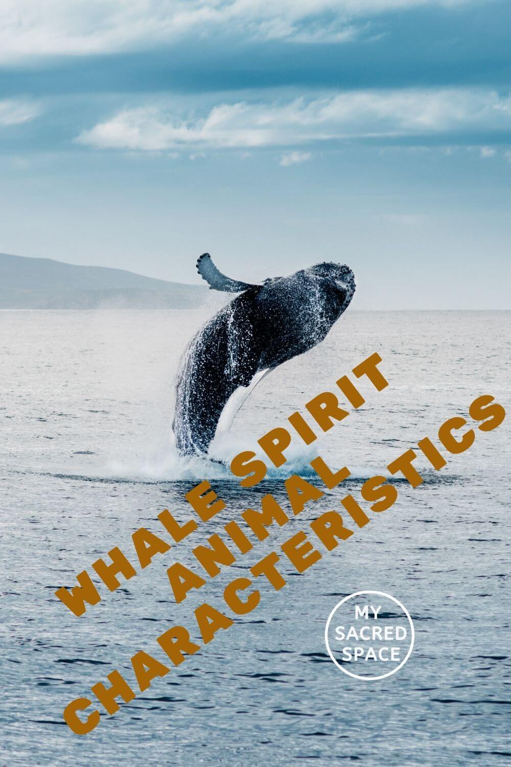 What Does a Whale Spirit Animal Mean and Symbolize? - My Sacred Space ...