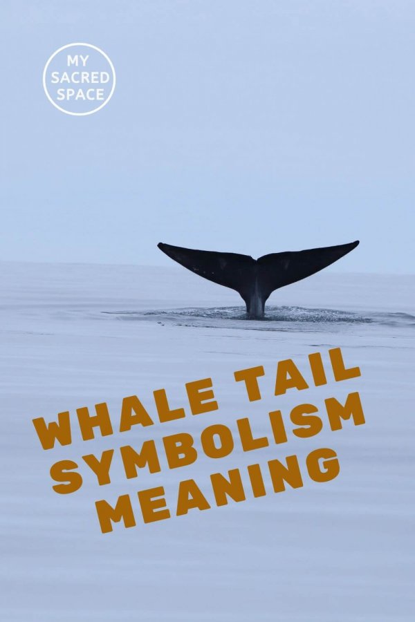 What Does a Whale Spirit Animal Mean and Symbolize? - My Sacred Space ...