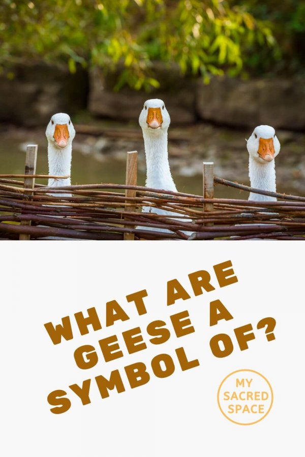 What Does a Goose Spirit Animal Mean and Symbolize?
