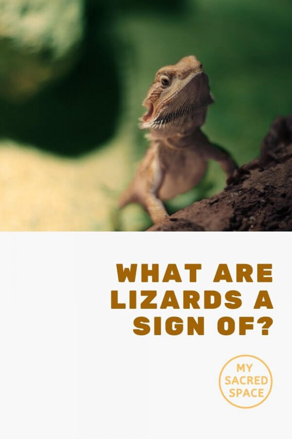 What Does a Lizard Spirit Animal Mean and Symbolize?