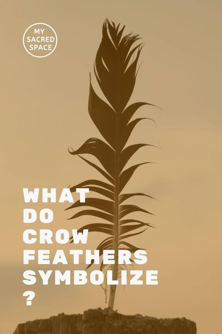 What Do Bird Feathers Symbolize? - My Sacred Space Design