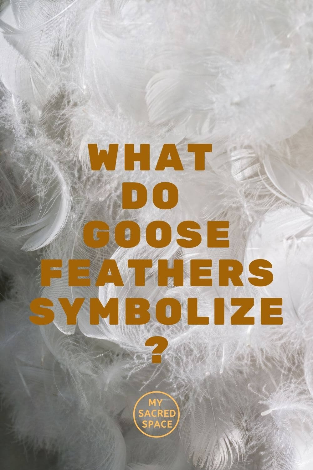 What Do Bird Feathers Symbolize?